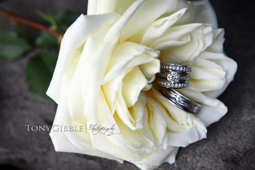 Rings — Tony Gibble Photography