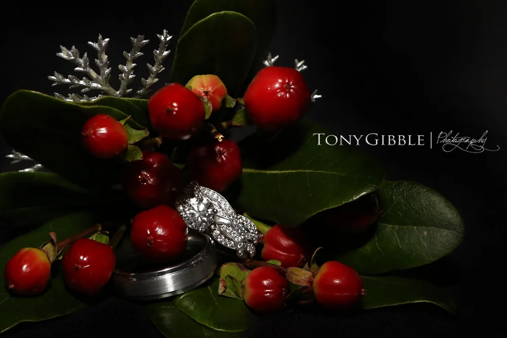 Rings — Tony Gibble Photography