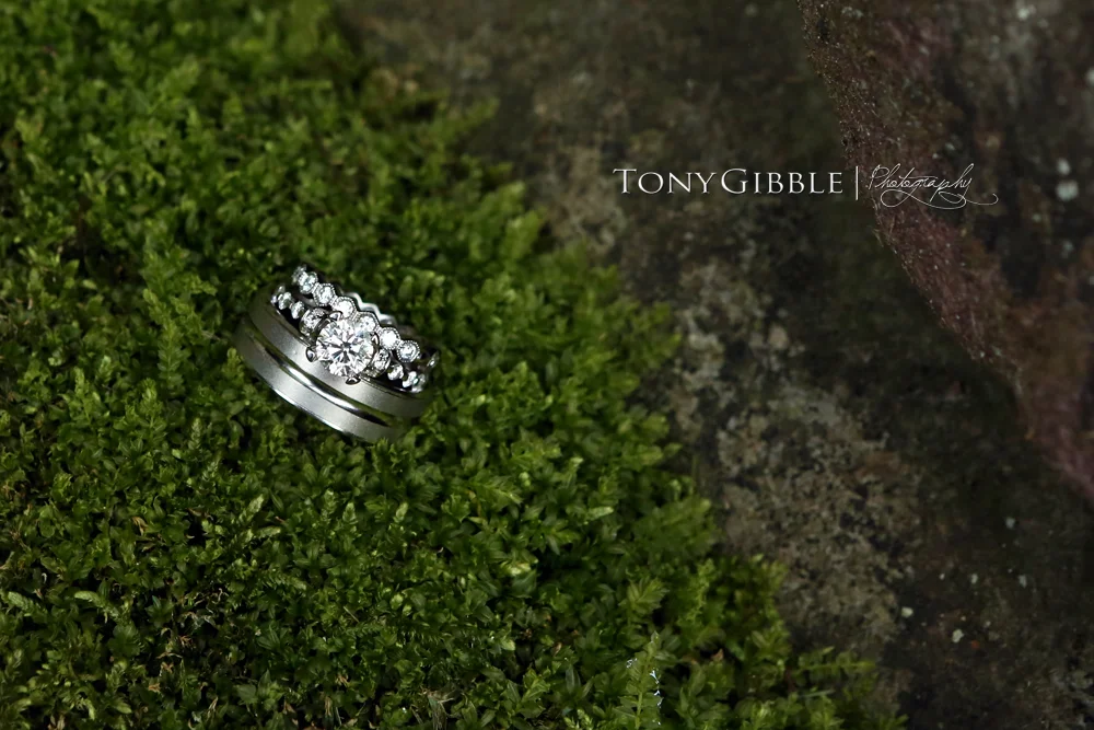 Rings — Tony Gibble Photography