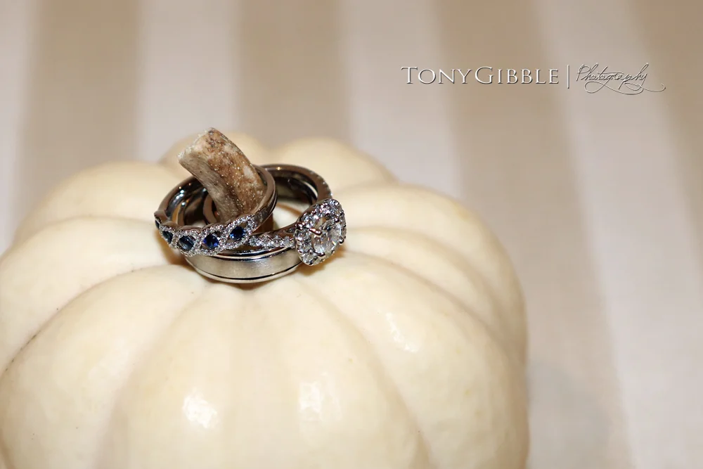 Rings — Tony Gibble Photography