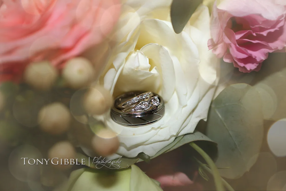 Rings — Tony Gibble Photography