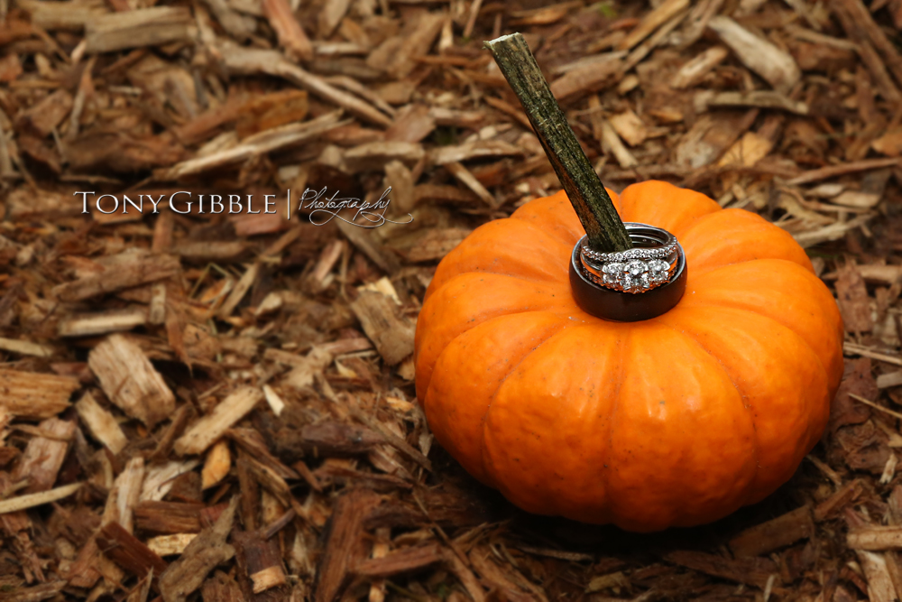 Rings — Tony Gibble Photography