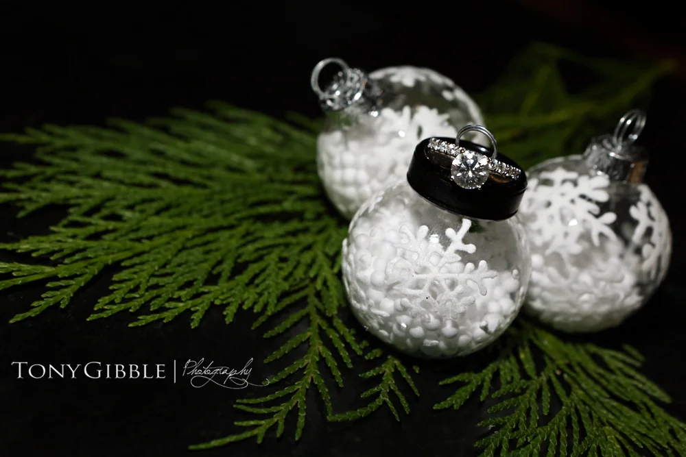 Rings — Tony Gibble Photography