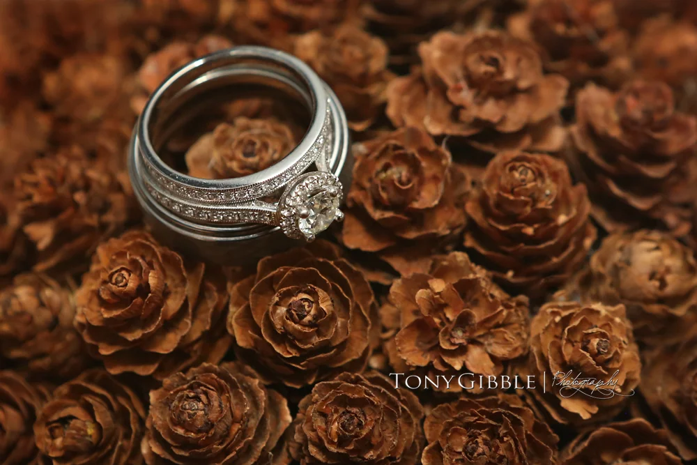 Rings — Tony Gibble Photography