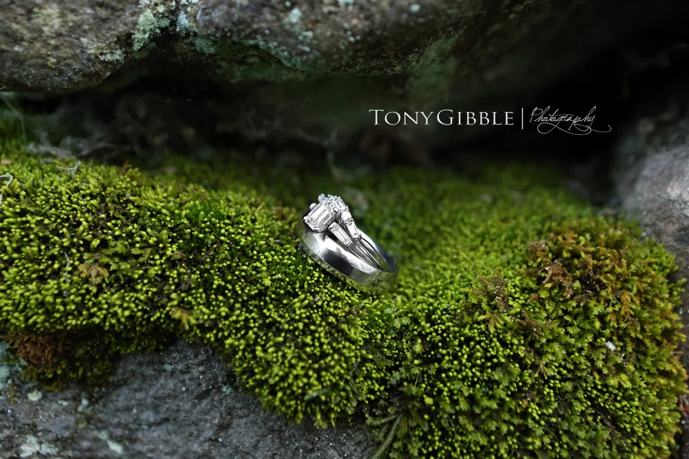 Rings — Tony Gibble Photography