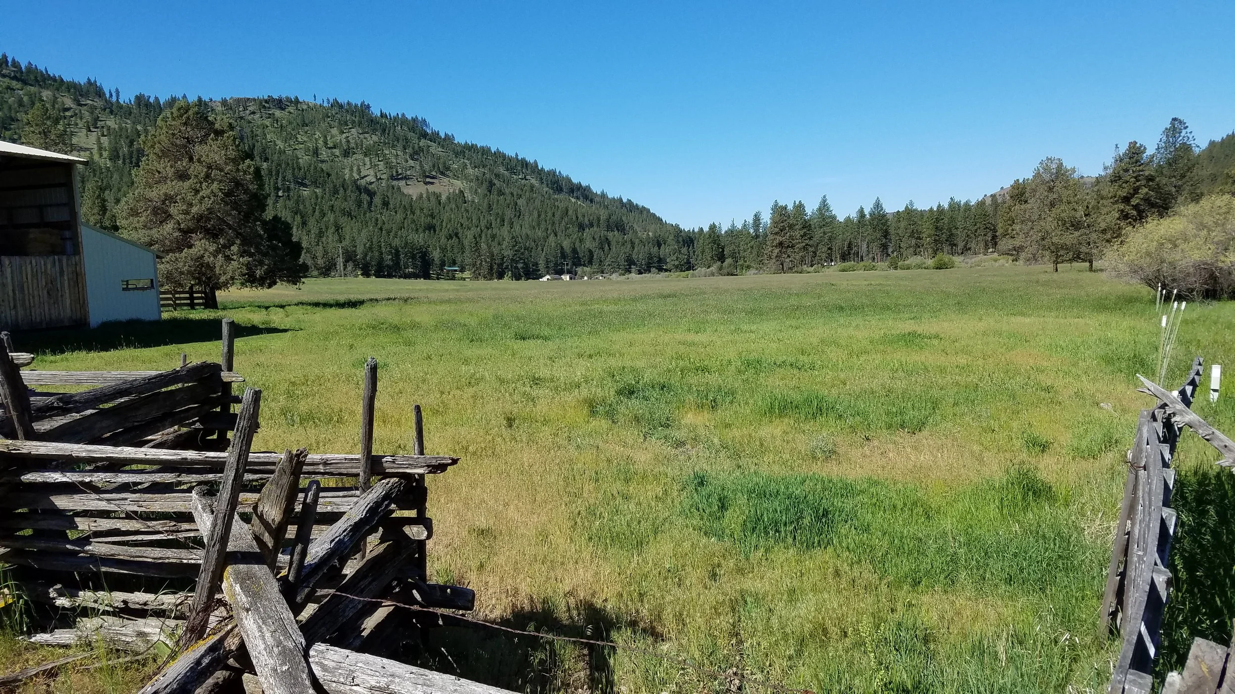 Wine Down Ranch
