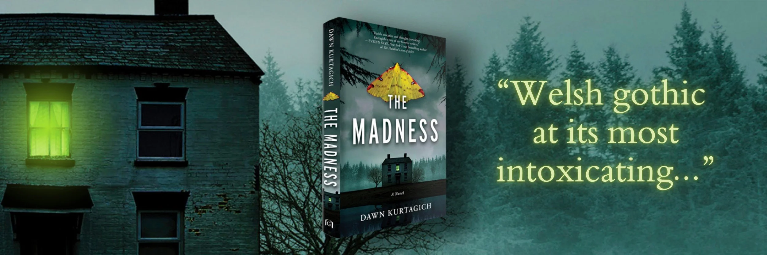 The Madness — Dawn Kurtagich