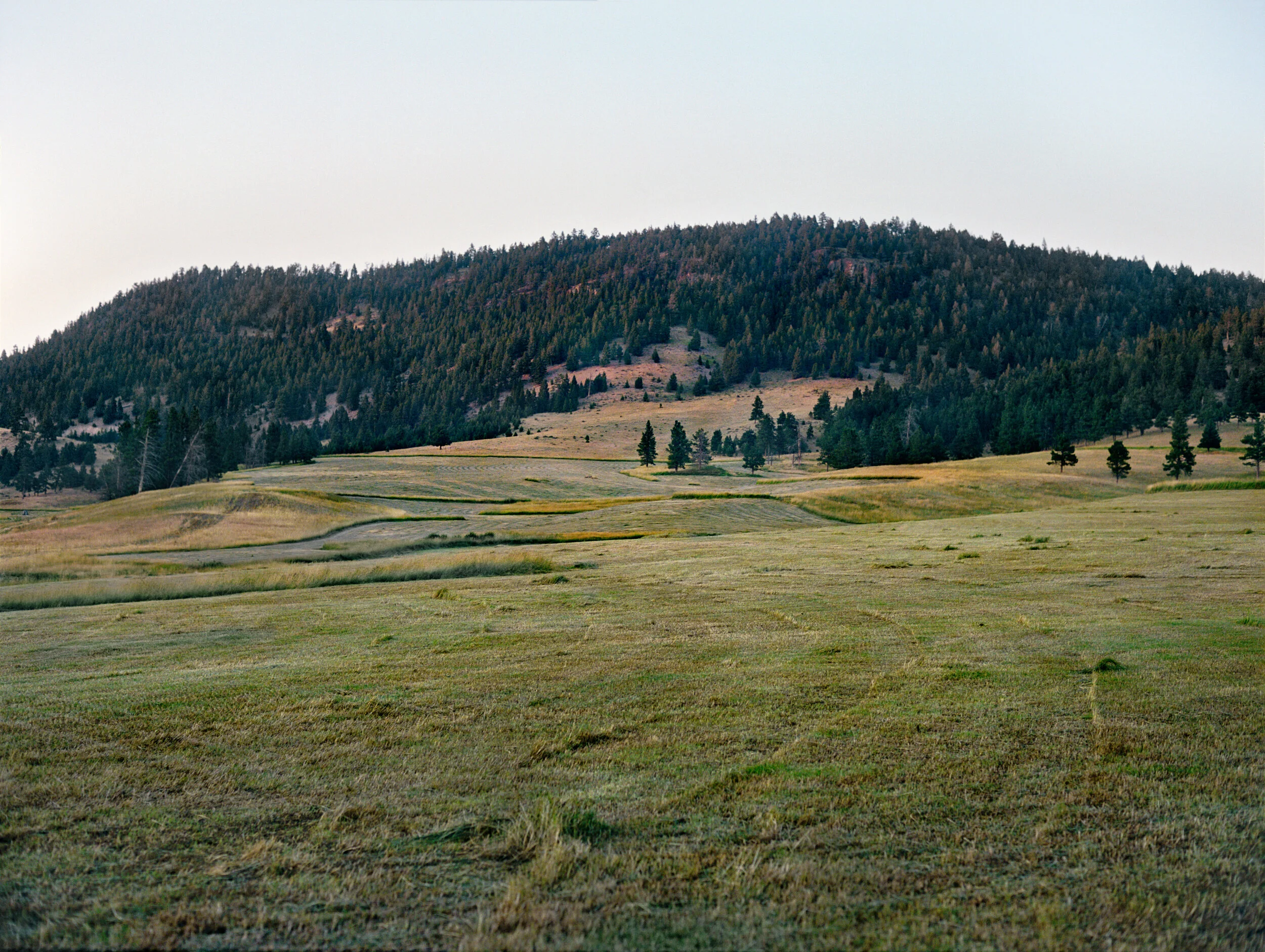 Ten Thousand Haystacks — Holly Lynton