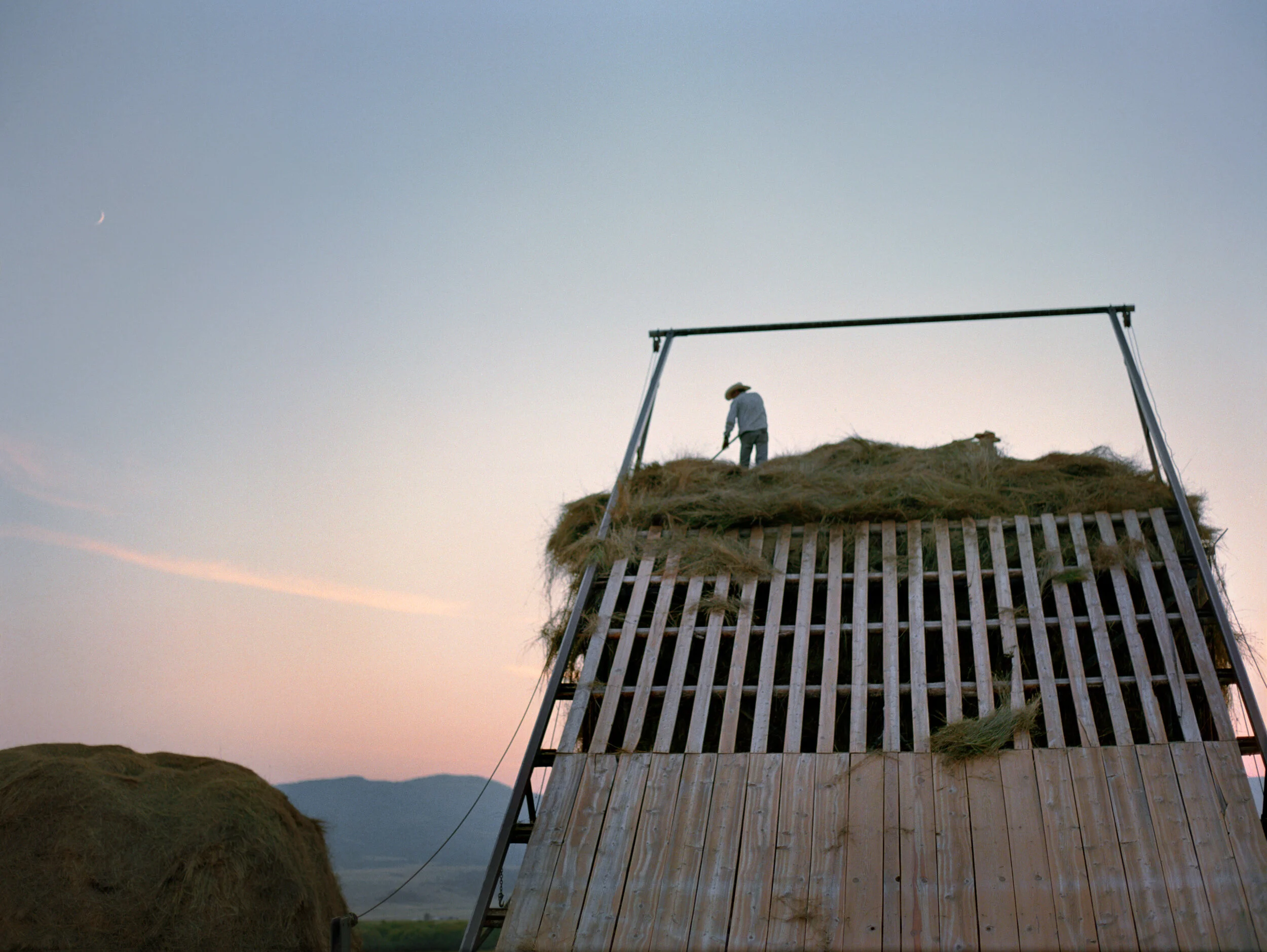 Ten Thousand Haystacks — Holly Lynton