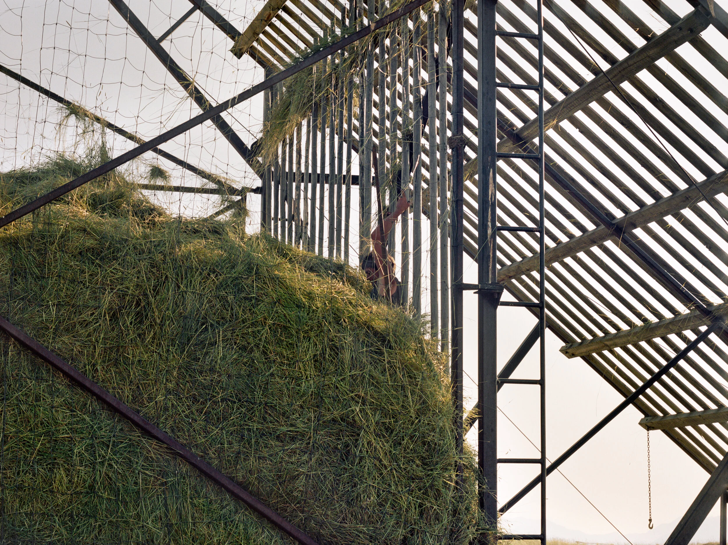 Ten Thousand Haystacks — Holly Lynton