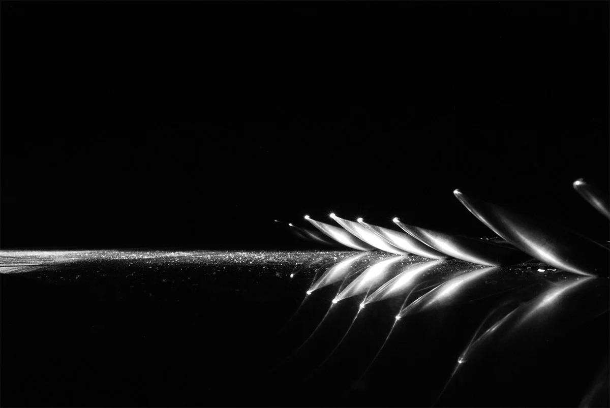 Photography — Brandon Mike