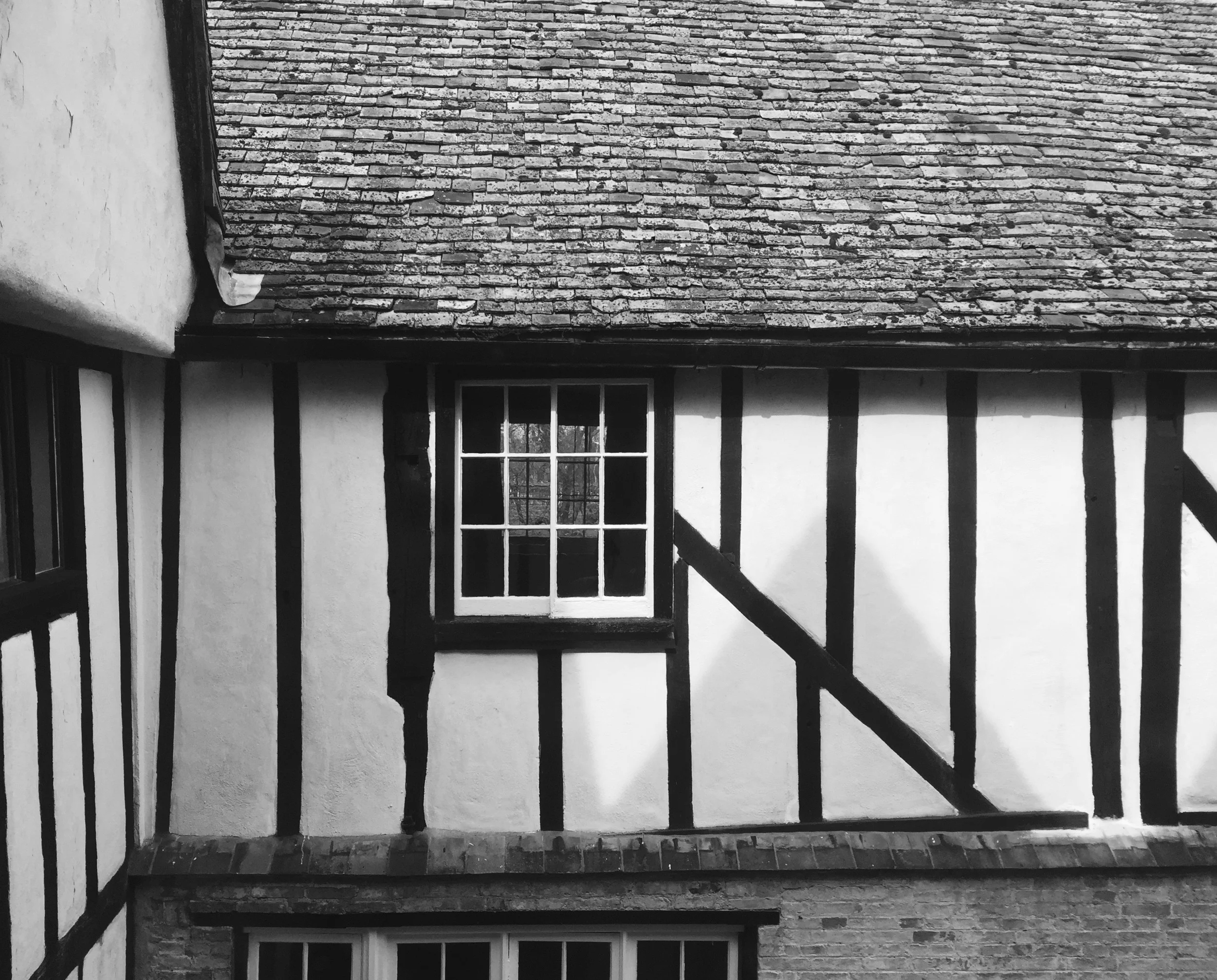 Conservation — Tom Marston Ltd