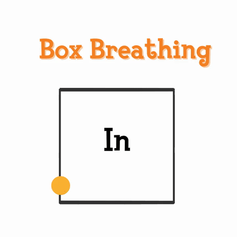 Animation QR CODES — FableVision Learning