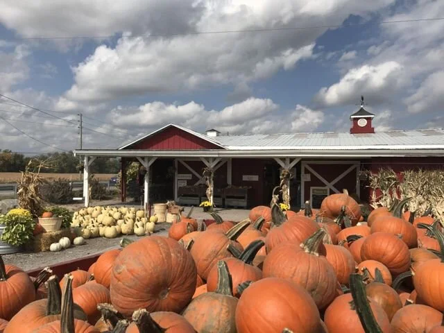 Reesor's Farm Market — Reesor's Markets