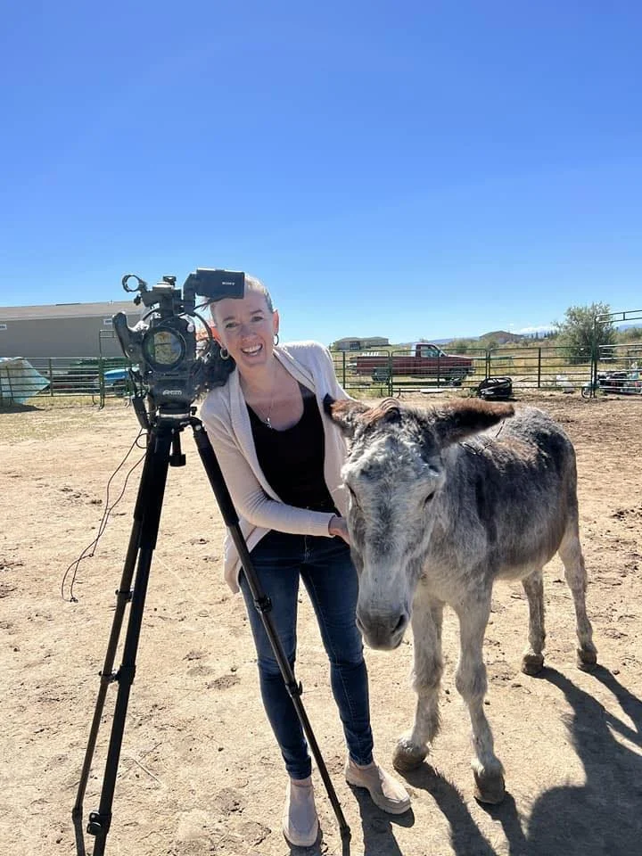 Leadership — Laramie Public Art