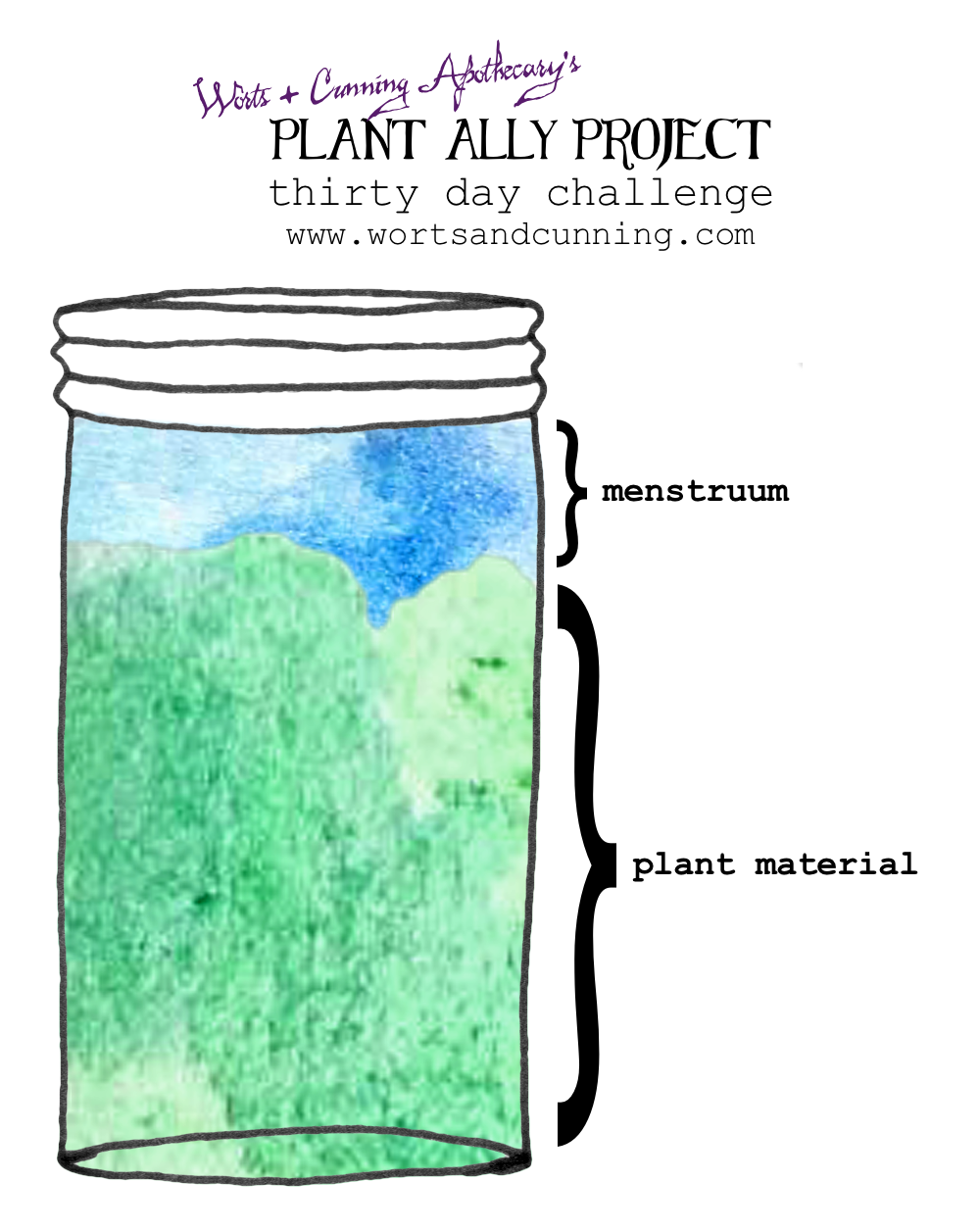 Plant Ally Project Thirty Day Challenge — Worts & Cunning Apothecary ...