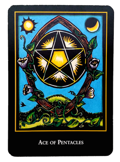 The Foundation Bones : The Herbal Wisdom of the Suit of Pentacles ...
