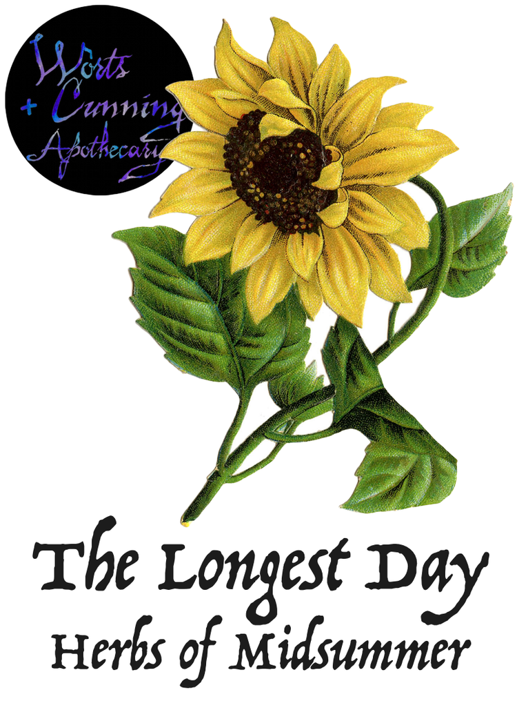 The Longest Day : Herbs of Midsummer — Worts & Cunning Apothecary ...