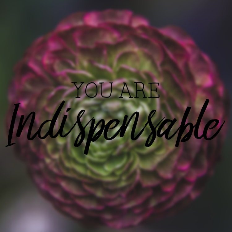 You Are Indispensable (and why that matters) — Worts & Cunning ...