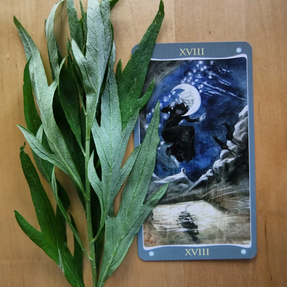 Making Herbal Medicine by the Moon — Worts + Cunning Apothecary ...