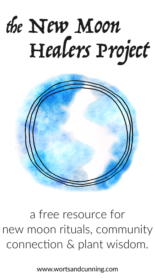 The New Moon Healers Project — Worts & Cunning Apothecary ...