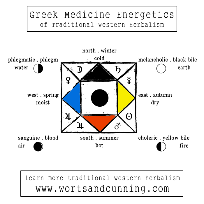 Herbs of the New Moon — Worts + Cunning Apothecary | Intersectional ...