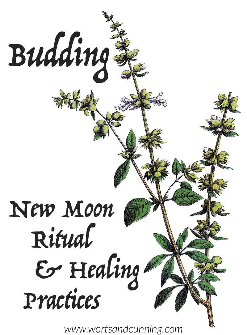 Budding: New Moon Ritual & Healing Practices — Worts & Cunning ...