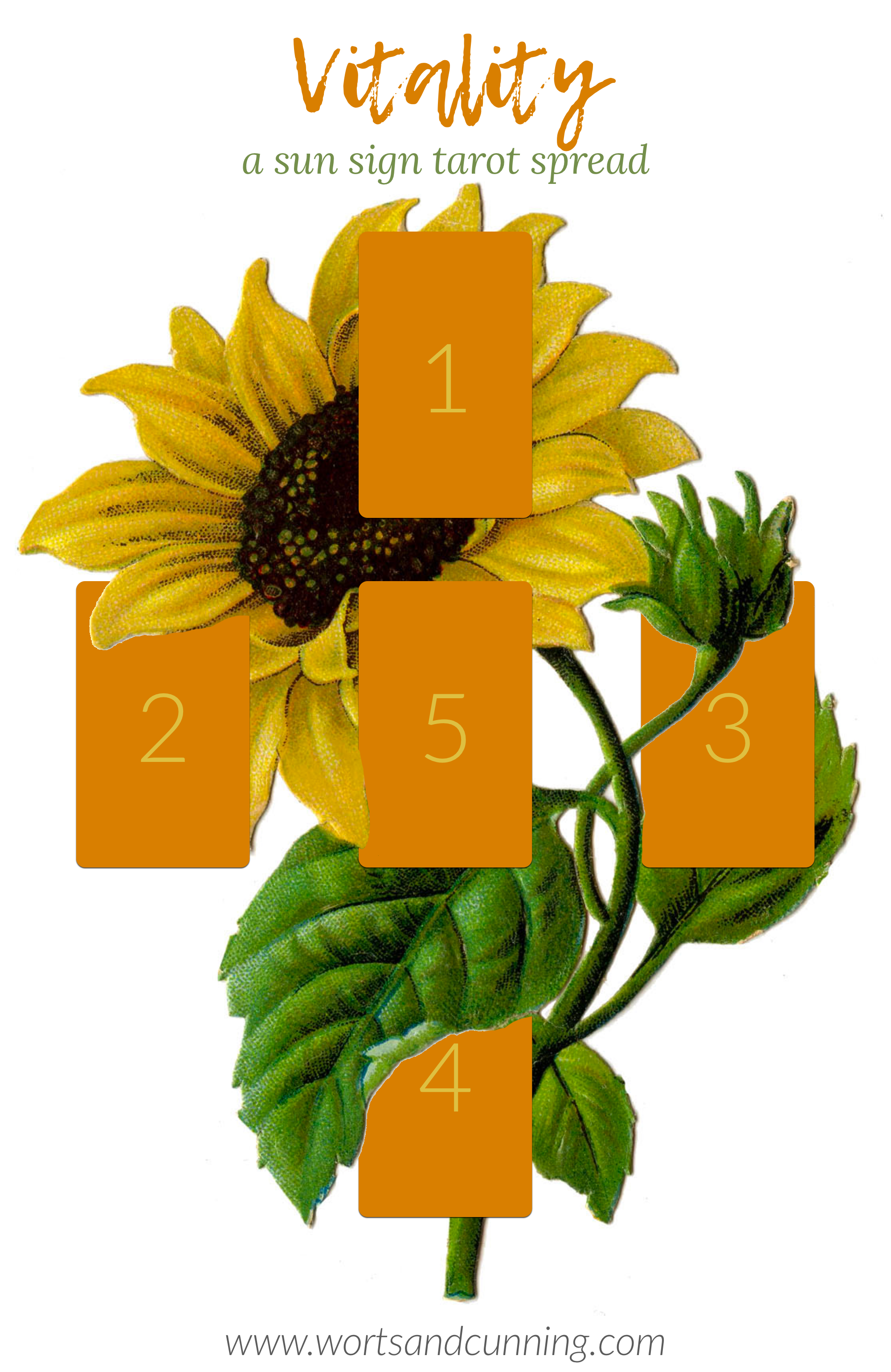 Vitality: A Tarot Spread for Your Sun Sign — Worts & Cunning Apothecary ...