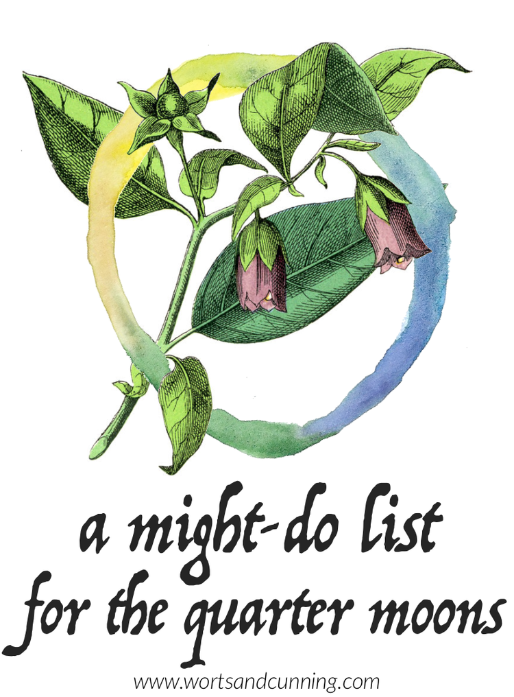 A Might-do List for the Quarter Moons — Worts & Cunning Apothecary | Intersectional Herbalism ...