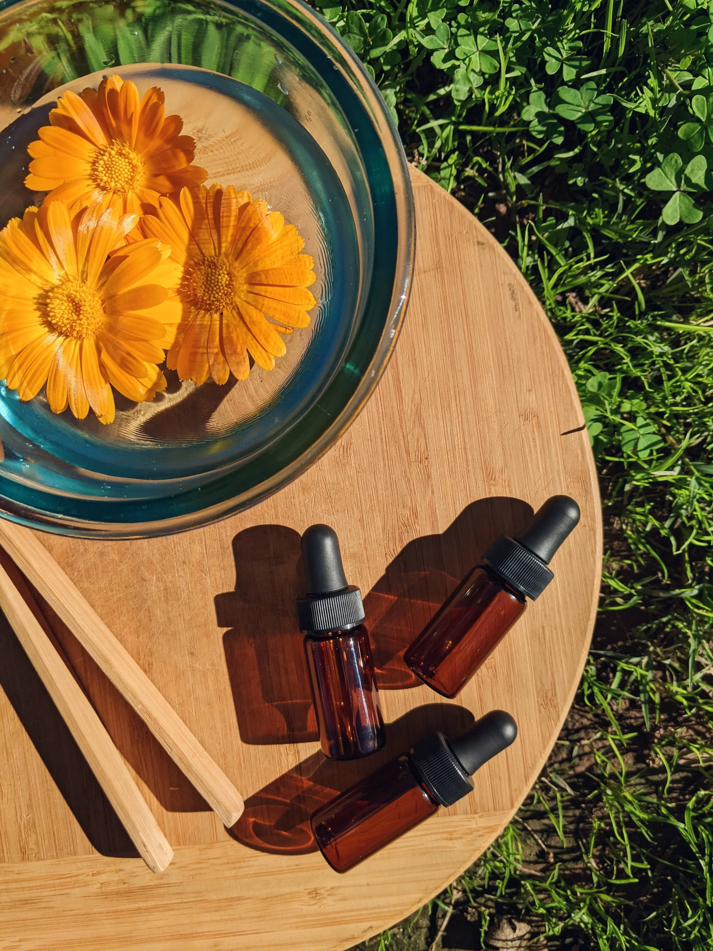 Make Your Own Flower Essences — Worts & Cunning Apothecary ...