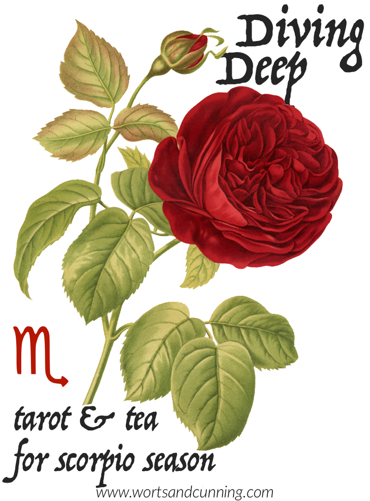 Diving Deep: Tarot and Tea for Scorpio Season — Worts & Cunning ...