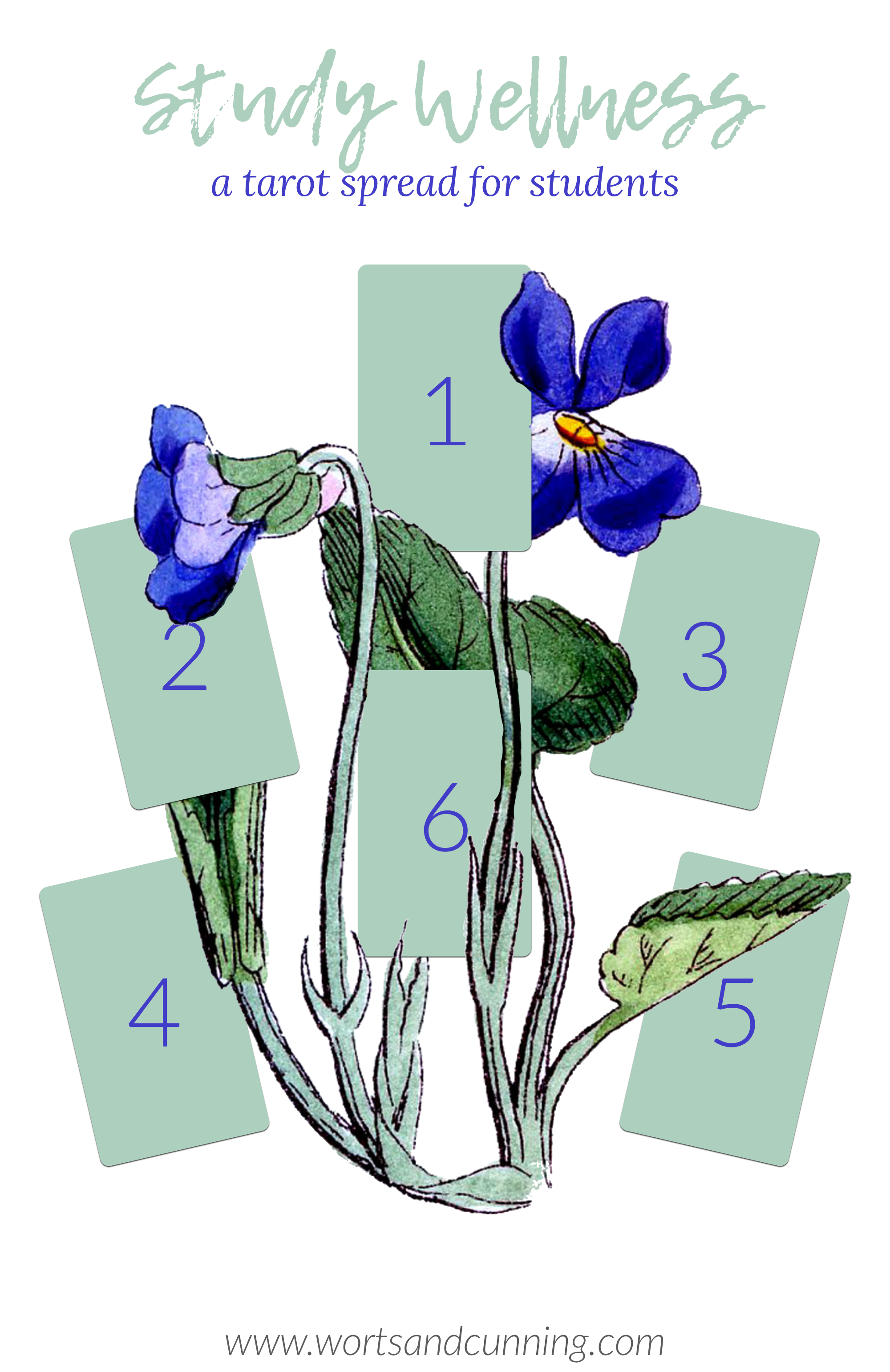 Study Wellness: A Tarot Spread for Students — Worts & Cunning ...