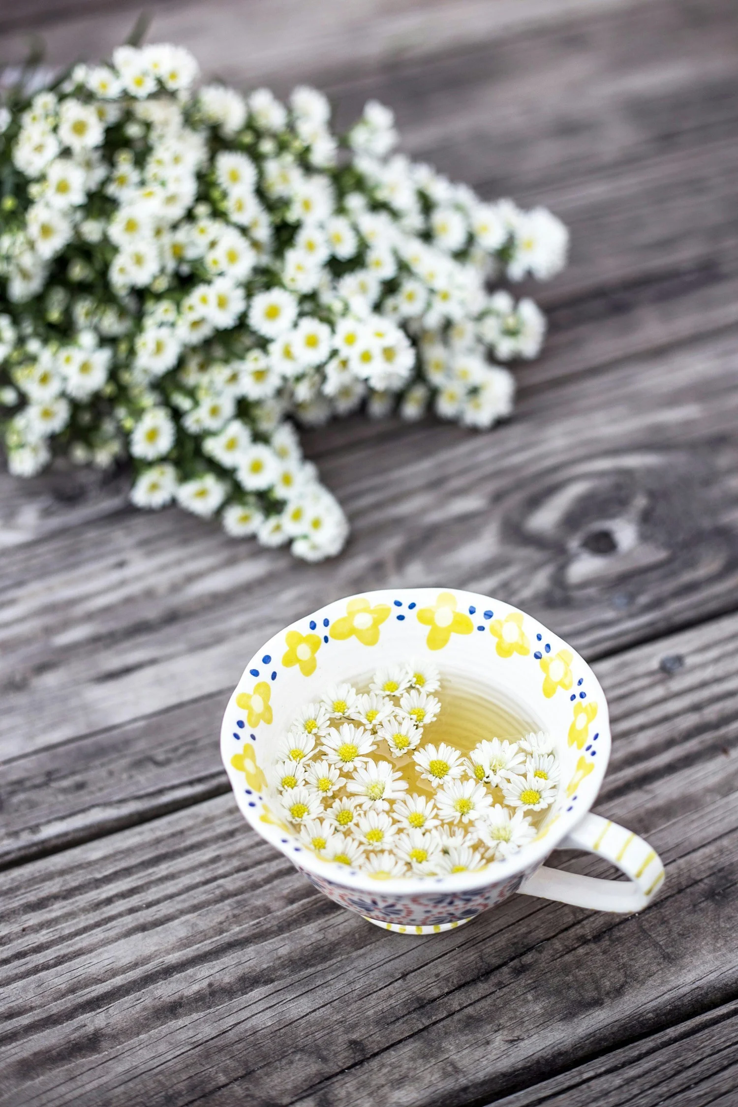 Herbs for Highly Sensitive People: Daily Herbal Practices for Wellbeing ...