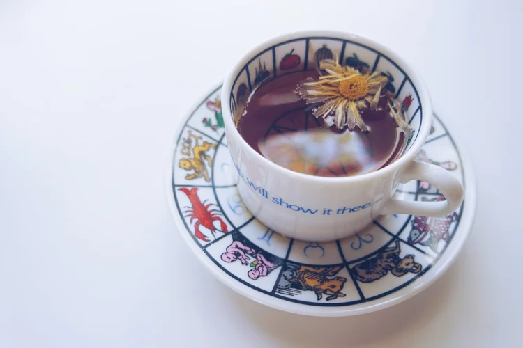 Blog — Worts + Cunning Apothecary | Intersectional Herbalism + Magickal ...