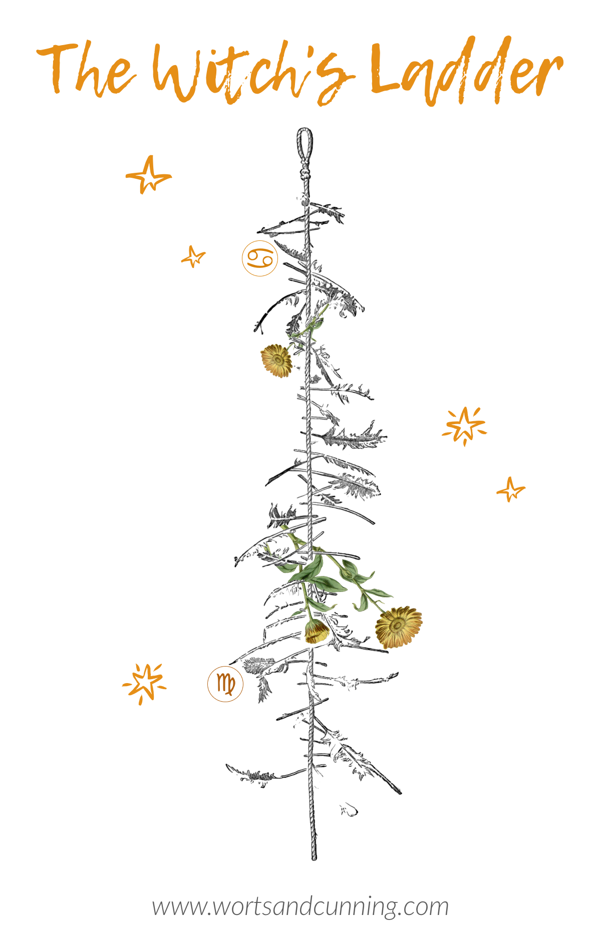 Summer’s Herbal Magick: Making Traditional & Modern Folk Charms — Worts ...