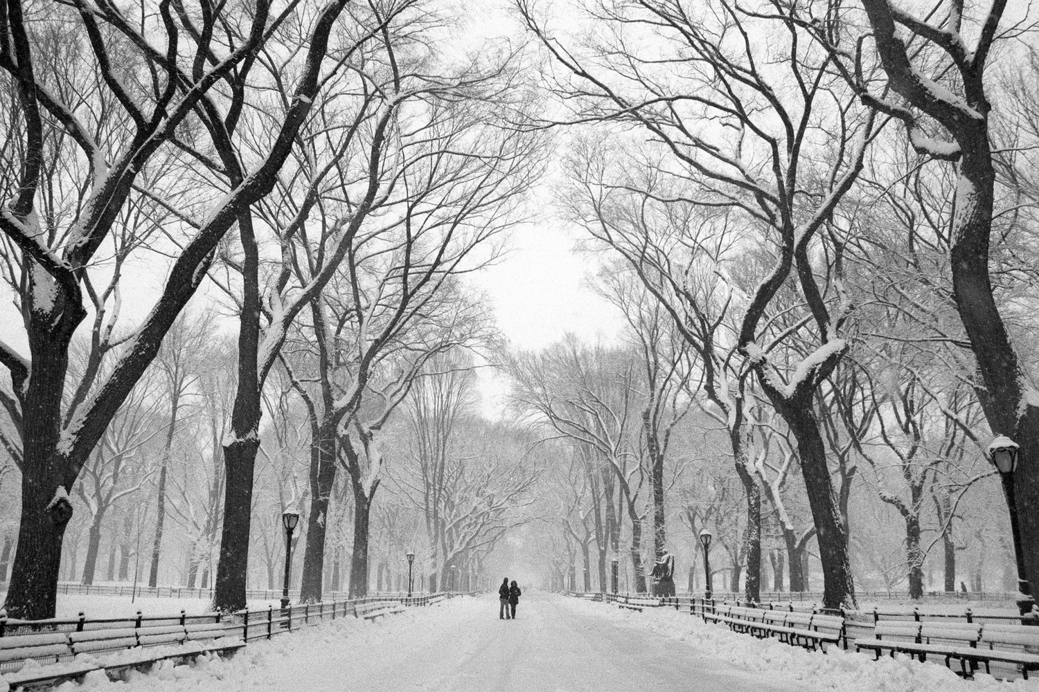 Jon Edwards | NYC Cinematographer, Director & Photographer