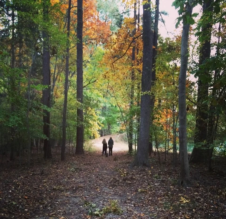 SEE — A Will for the Woods