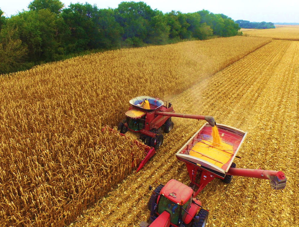 Farm Operator Profile — FarmFirst