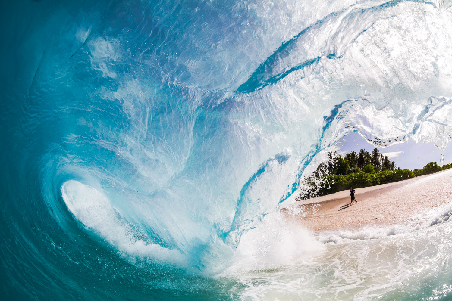 Ocean — Rob Walwyn