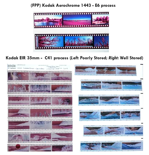 Guide for shooting Aerochrome colour infrared film — Rob Walwyn