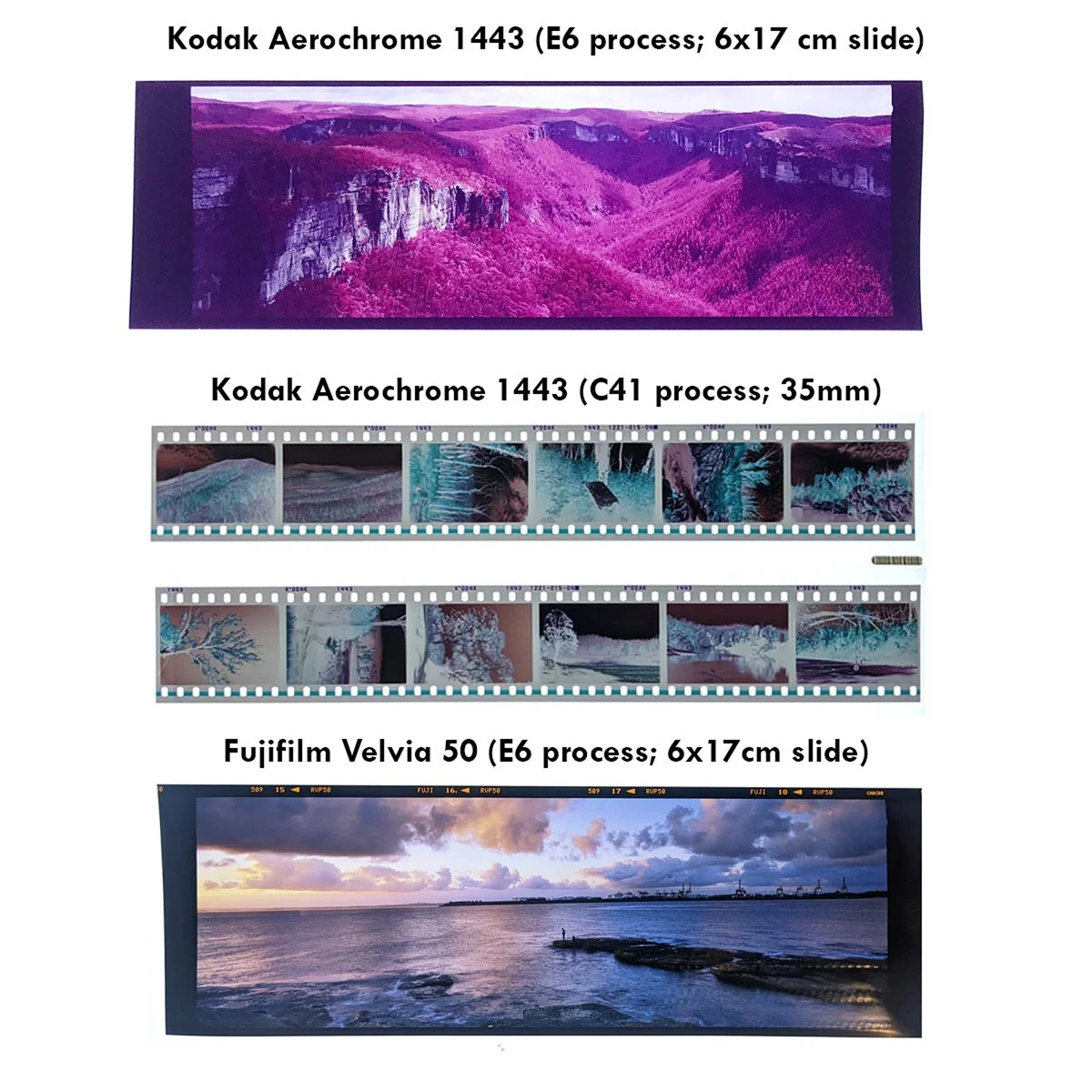 Guide for shooting Aerochrome colour infrared film — Rob Walwyn