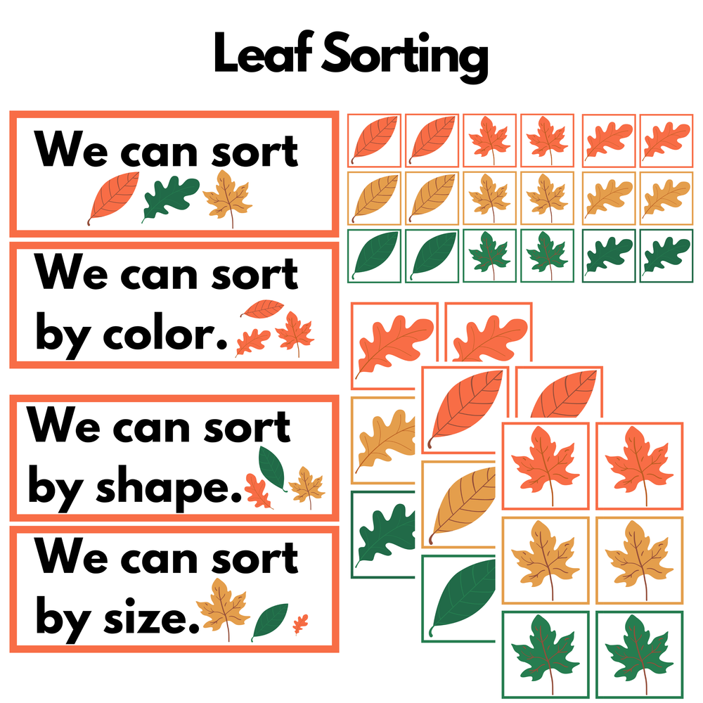 Parts Of A Leaf For Preschool
