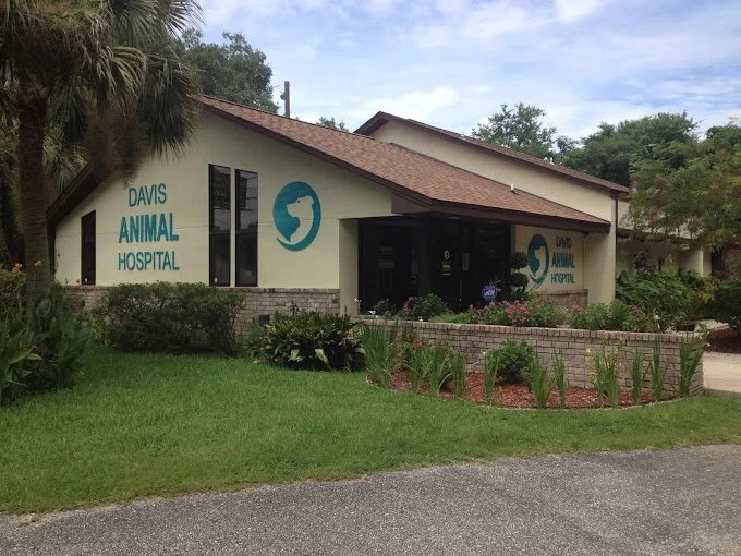 Davis Animal Hospital - Veterinarian Pensacola