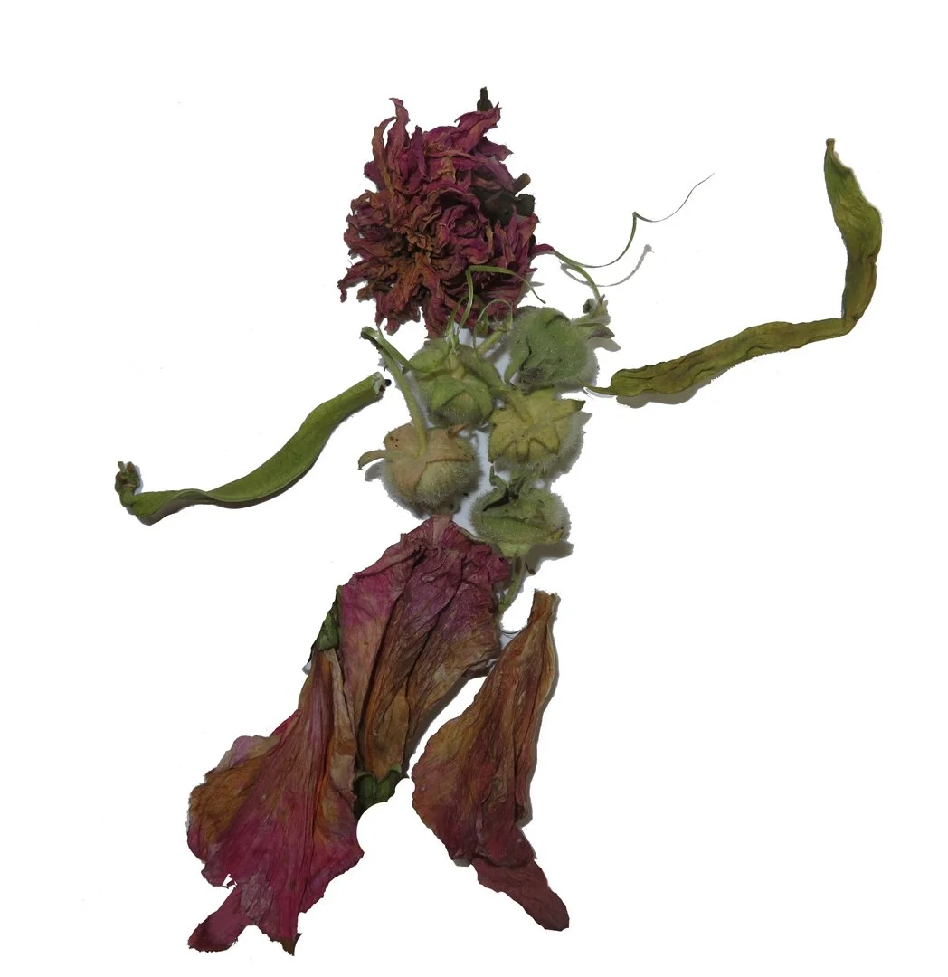 Amy's Class: The Creativity of Your Dreaming Process — Amy and Arnold ...