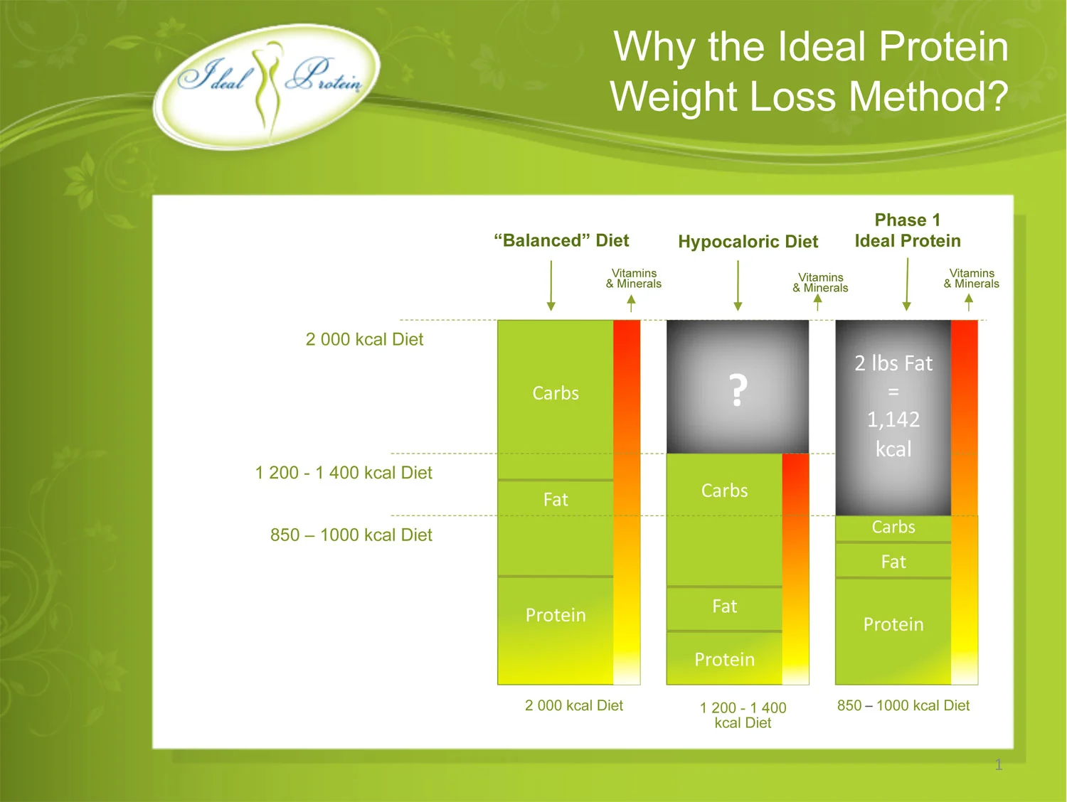 Ideal Protein Diet Phase 2