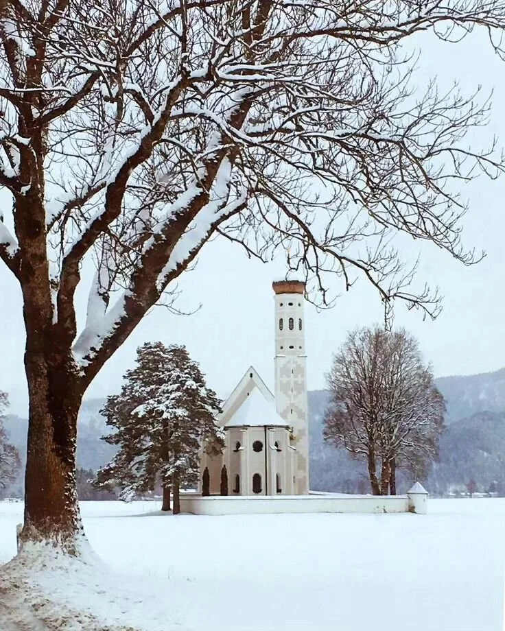 DIXIE RESERVE Clothing