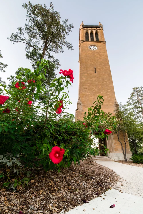 Back on ISU's Campus — Compelling Imaging - Photography