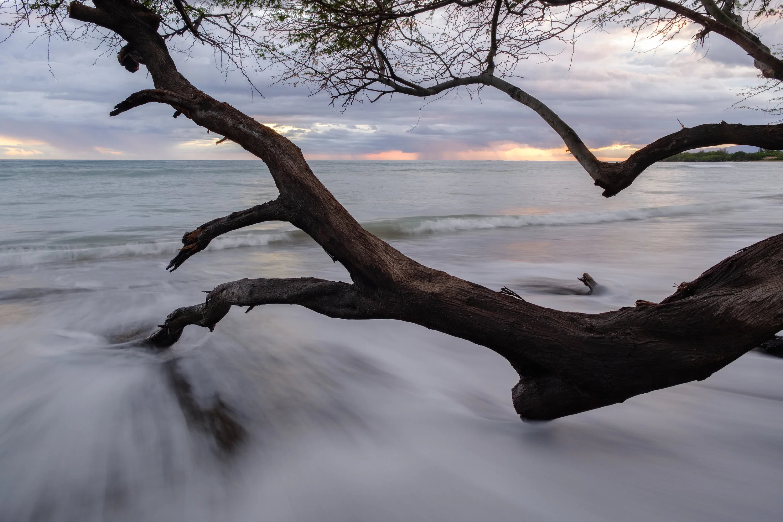 Top Ten Images of 2019 — Compelling Imaging - Photography