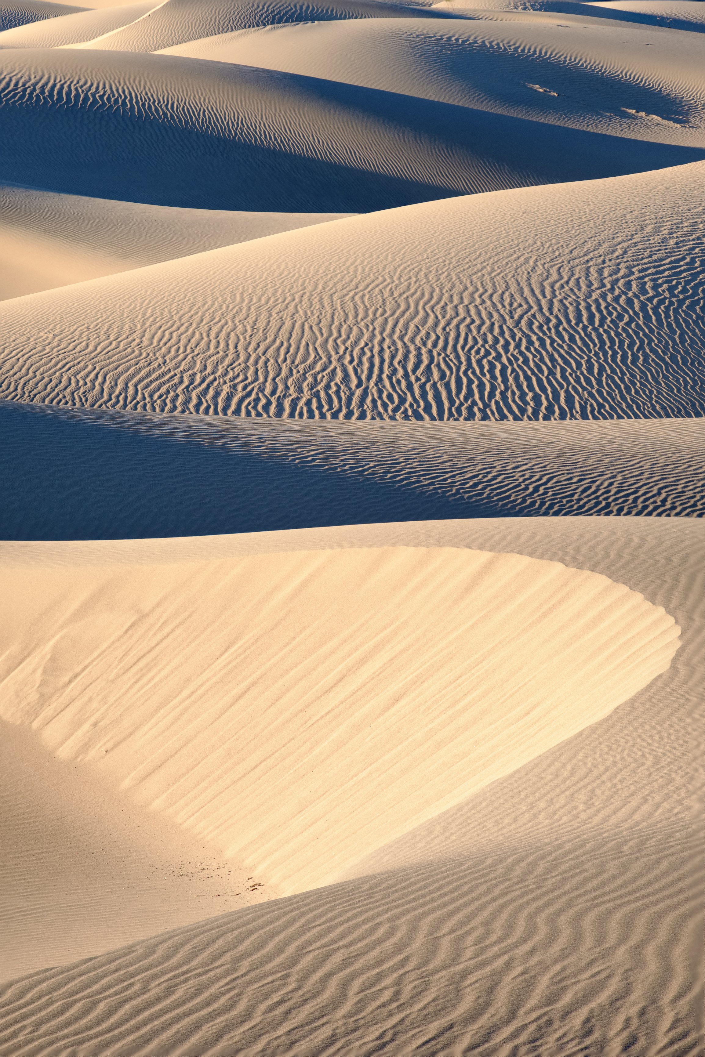 Compelling Imaging - Photography