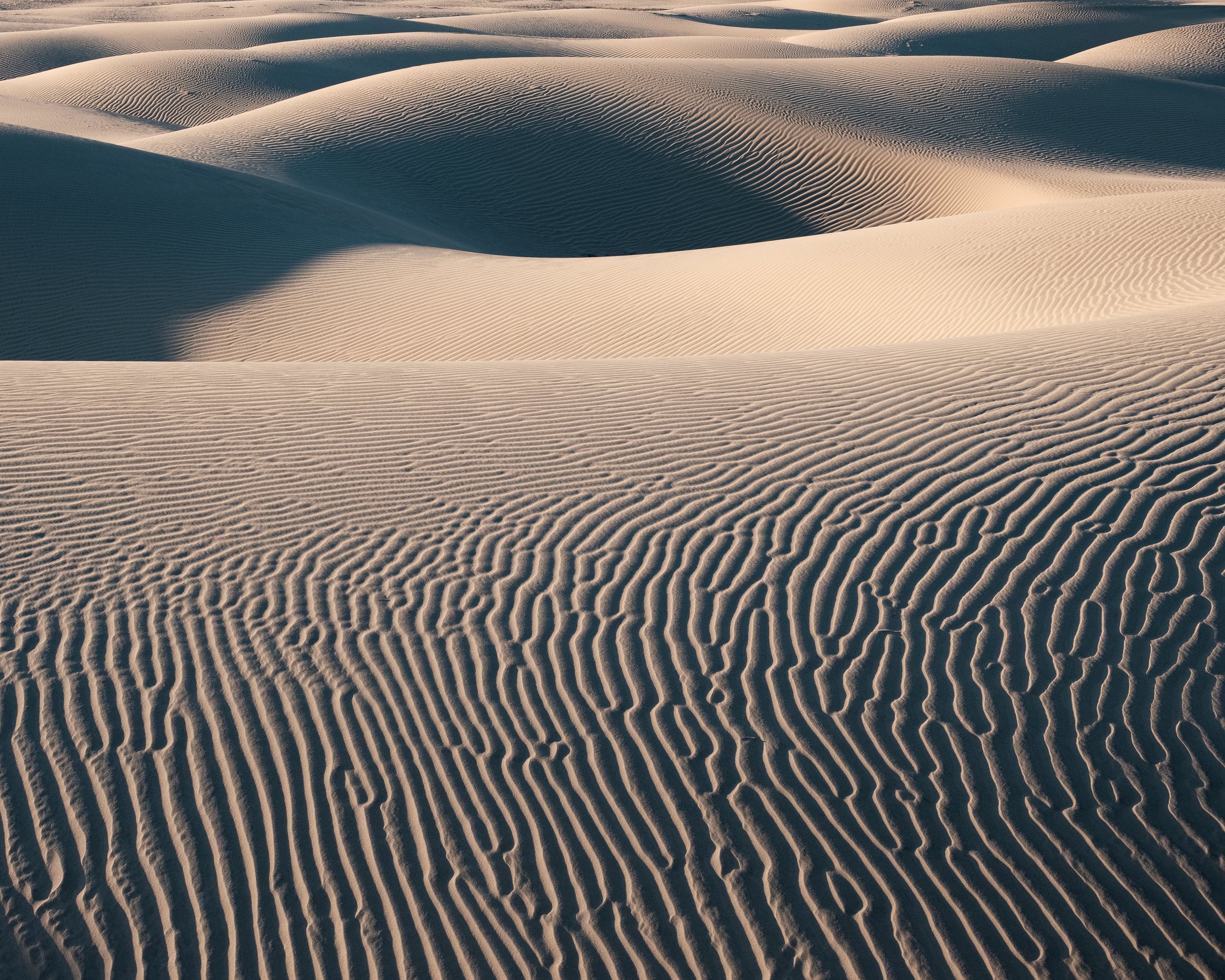Compelling Imaging - Photography